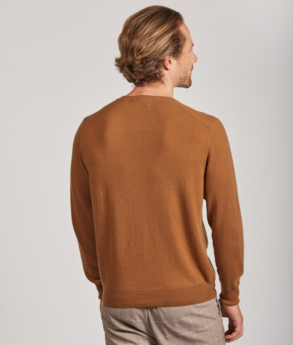 Vicuña